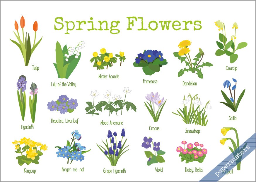 Postcard Bright Flowers