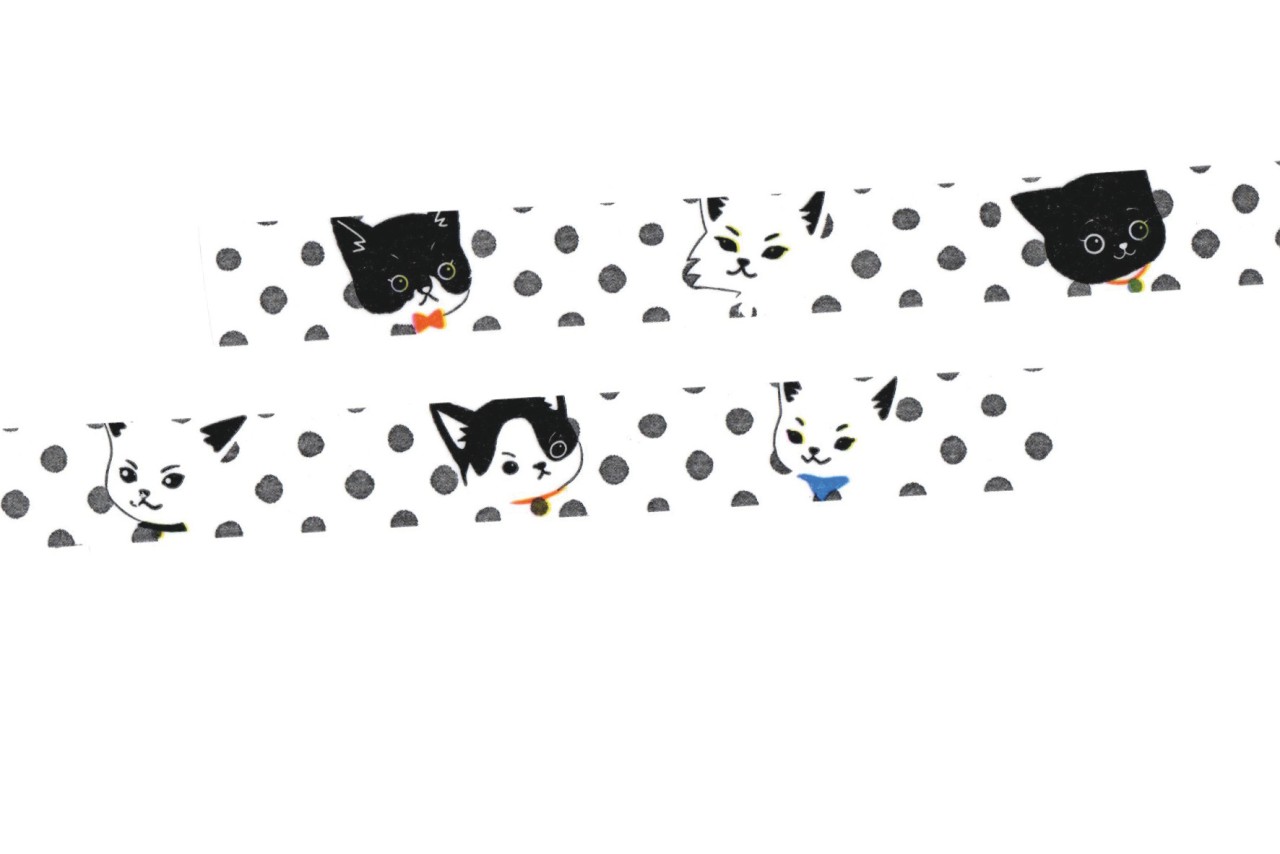 Masking Tape Pandora Cat