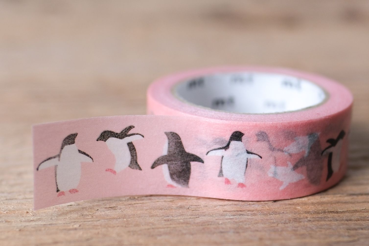 mt masking tape adelie penguin