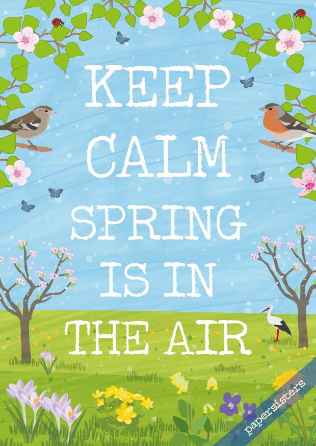 Postcard Bright Flowers