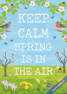 Postcard Bright Flowers